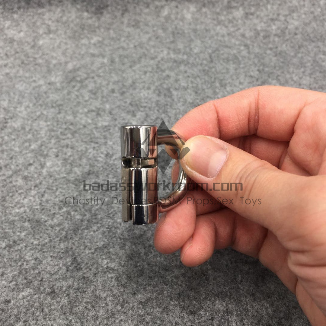 Custom Prince Albert D Ring PA Lock – badassworkroom pro